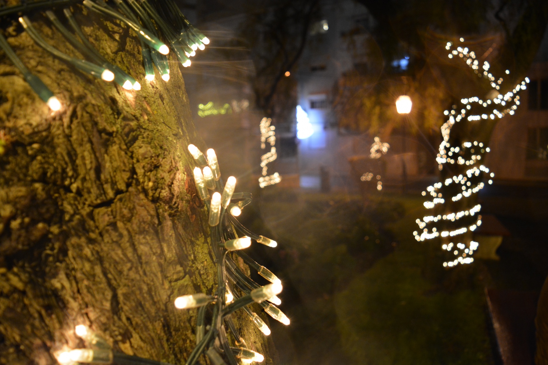 Natal em Carnide - Junta de Freguesia de Carnide