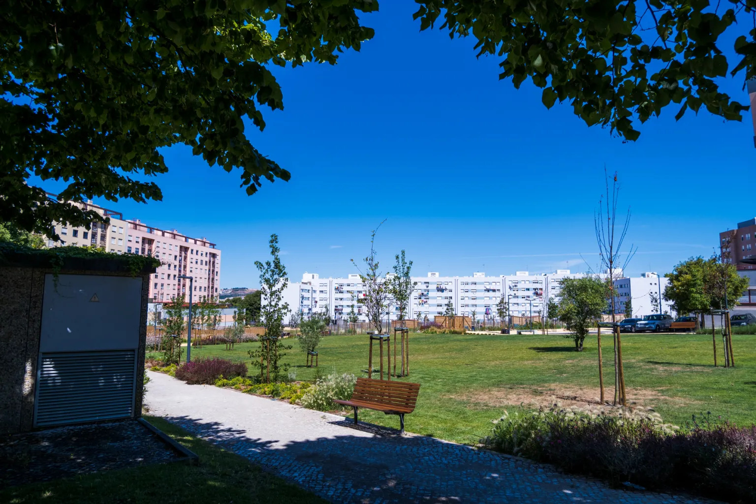 Carnide lança projeto "Casas Saudáveis, Famílias Felizes" para combater ...